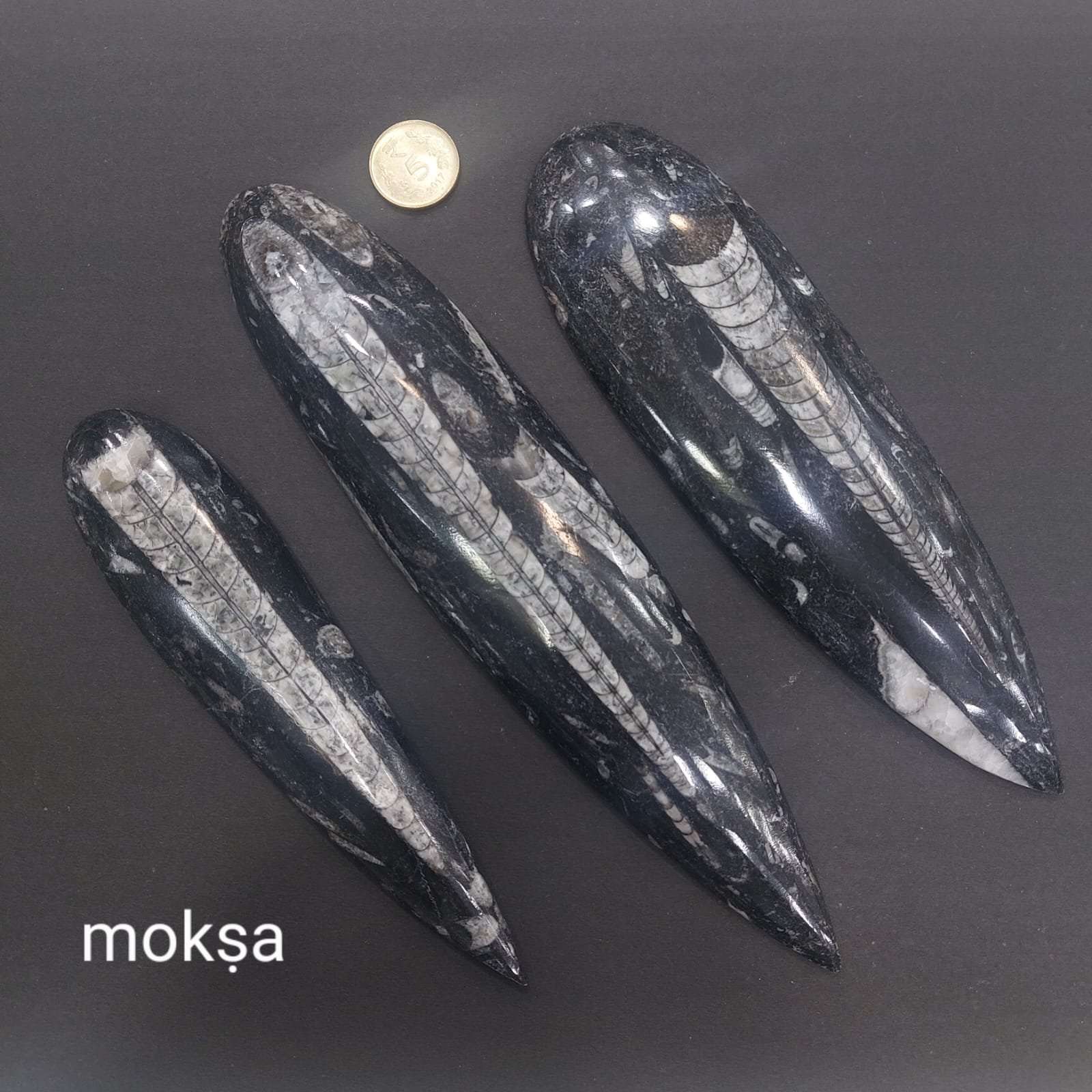 Kuber Stone or Orthoceras Crystal stone- 1pc - large - Moksa